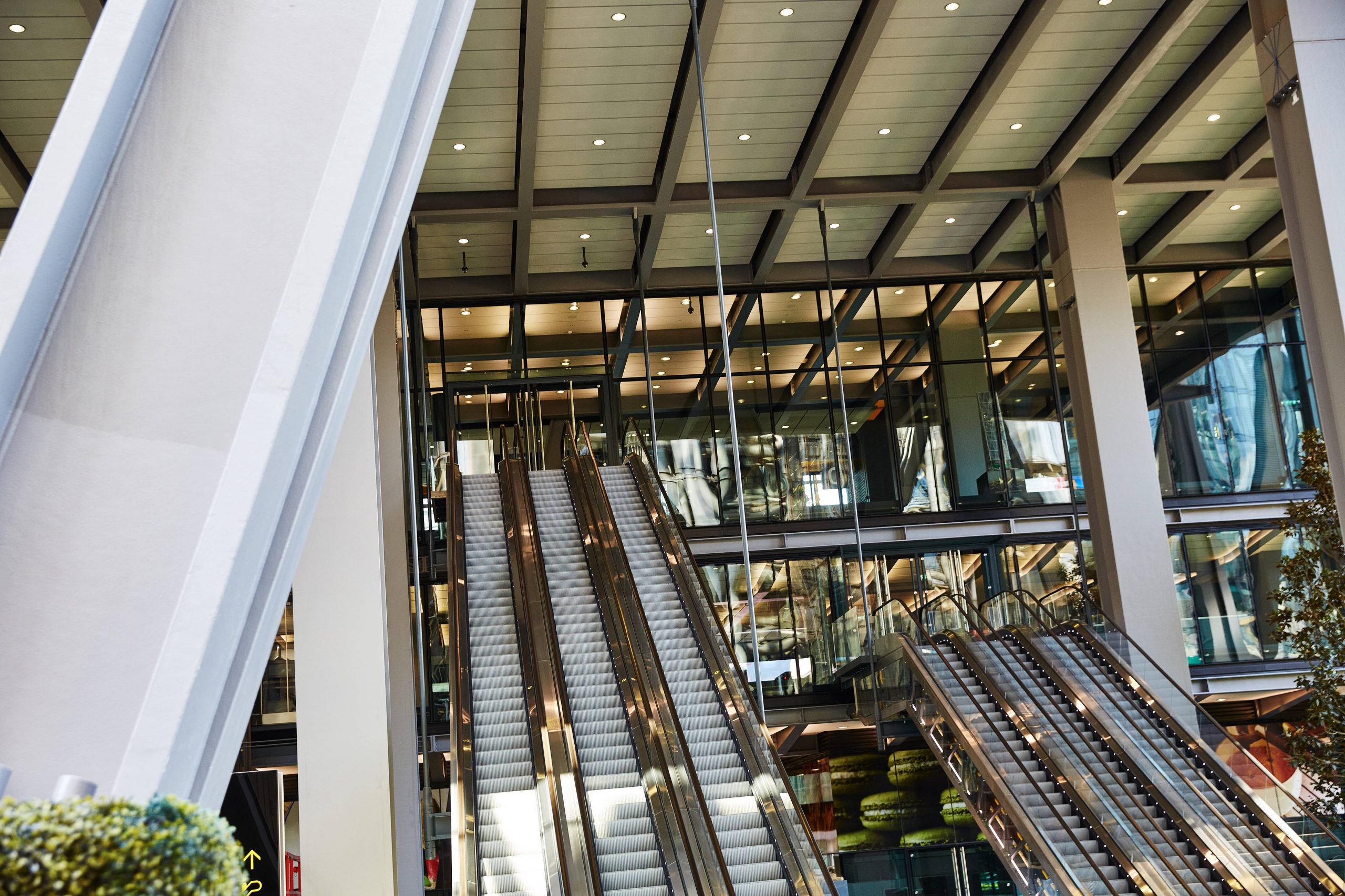 Directors Accountability and Burdens of Proof | New Square Chambers